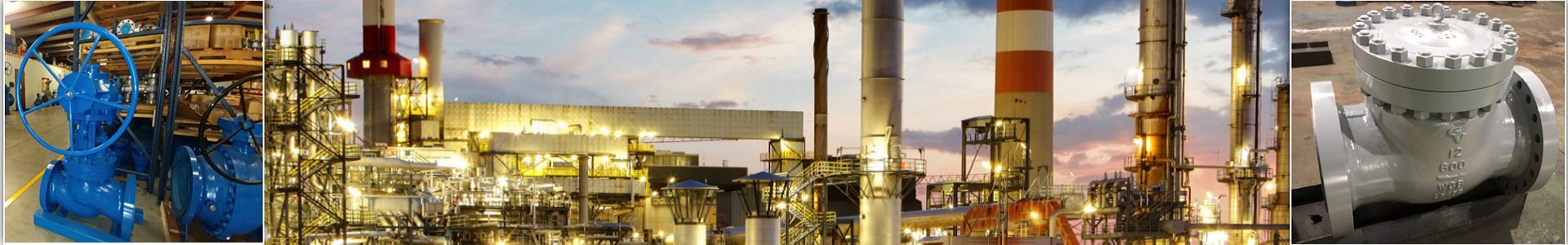 Cast Steel Valves Series G, Series GL, Series CK - GVC - (866) 965-8GVC